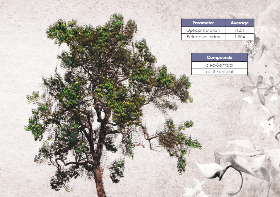 EBFF – Home of Essential Botanical Farms and Forests